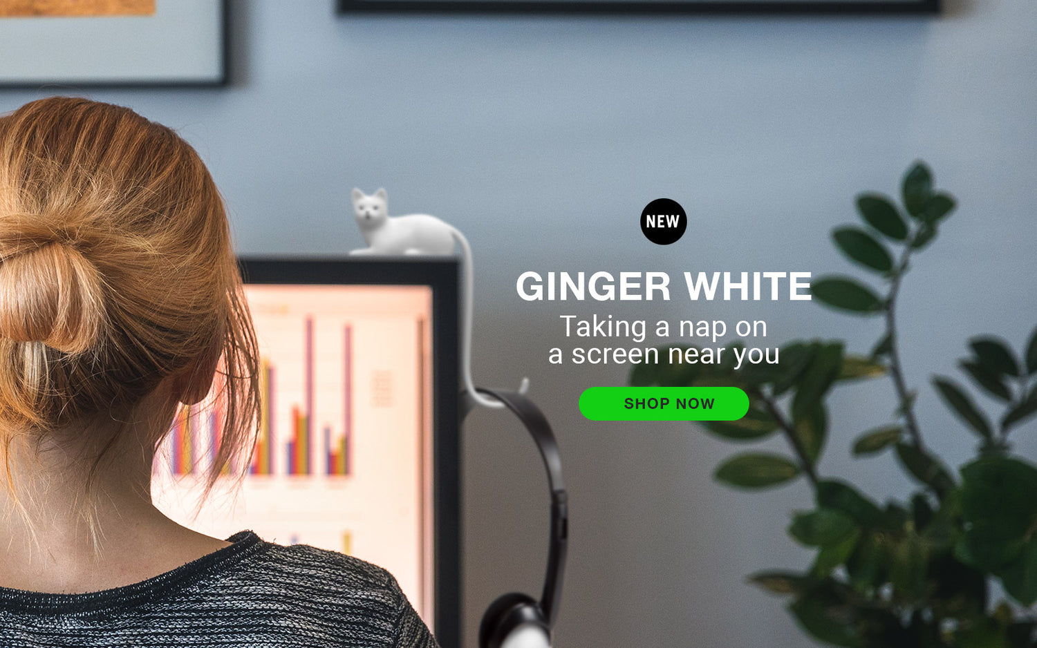 Monkey Business Design - creating useful objects with a smile