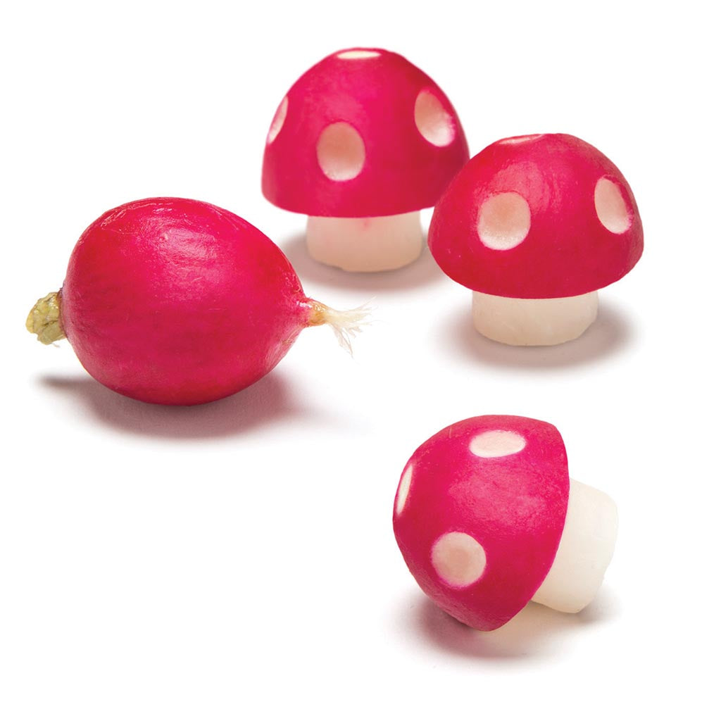 RAVANELLO | Radish shaper by Avichai Tadmor - Monkey Business USA